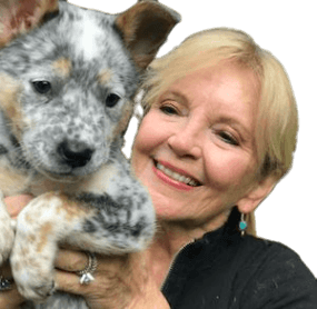 About Scott Sheaffer, Dog's Behavior Consultant, Behaviorist | USA Dog ...