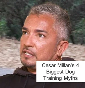 Cesar Millan's 4 Biggest Dog Training Myths | USA Dog Behavior, LLC