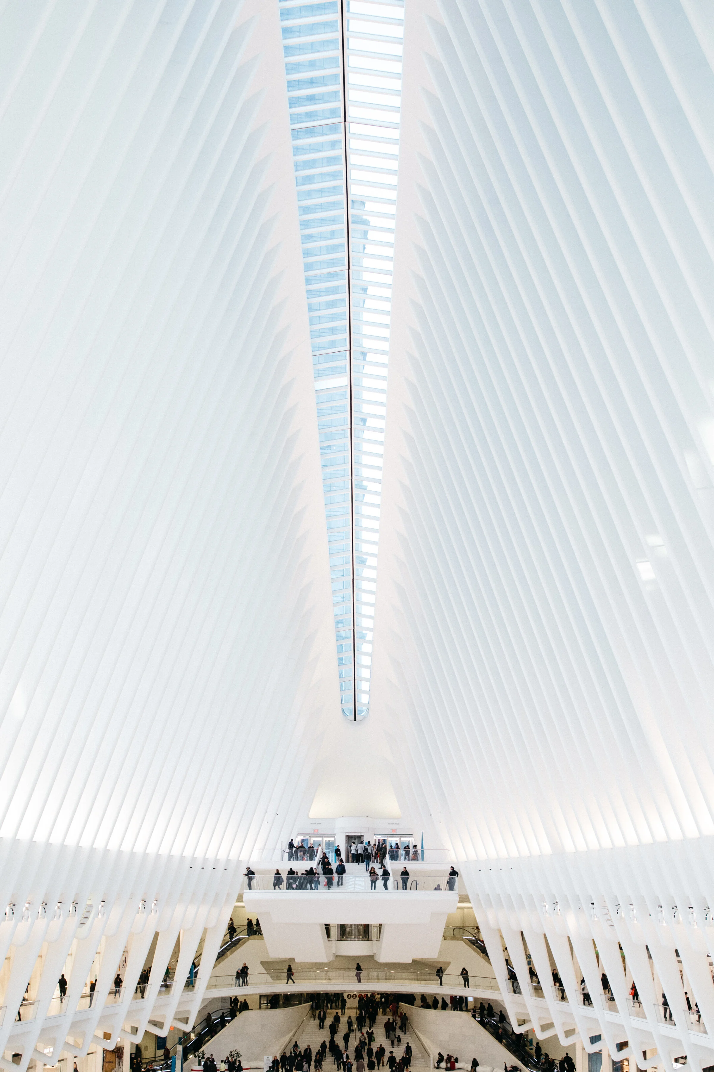 Why the 40mm pancake lens is the best for travel — Sandy Noto