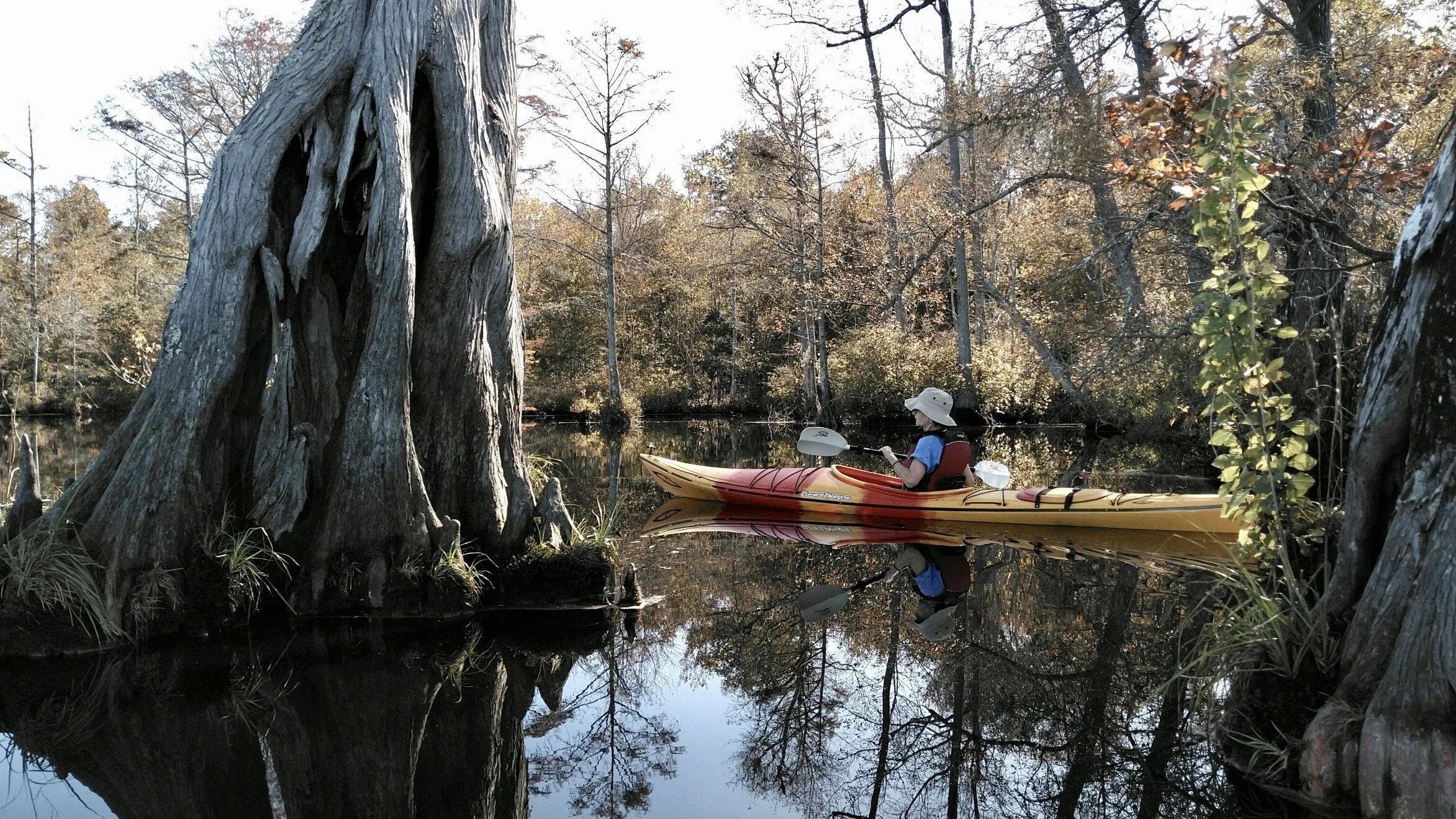 Great Dismal Swamp