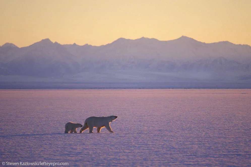 AKOOK ARCTIC ADVENTURES