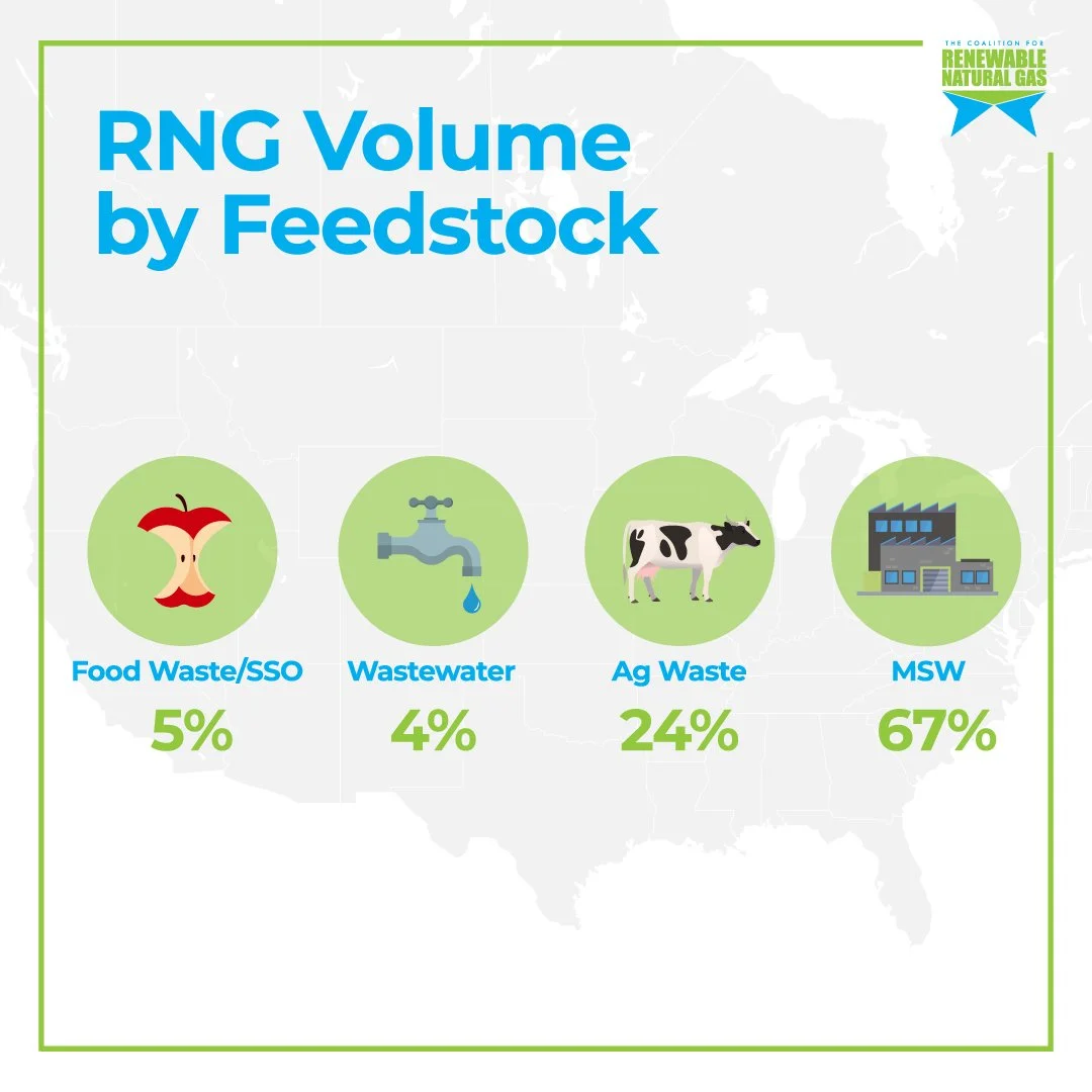Renewable Natural Gas Infographics: View at RNG Coalition — The ...