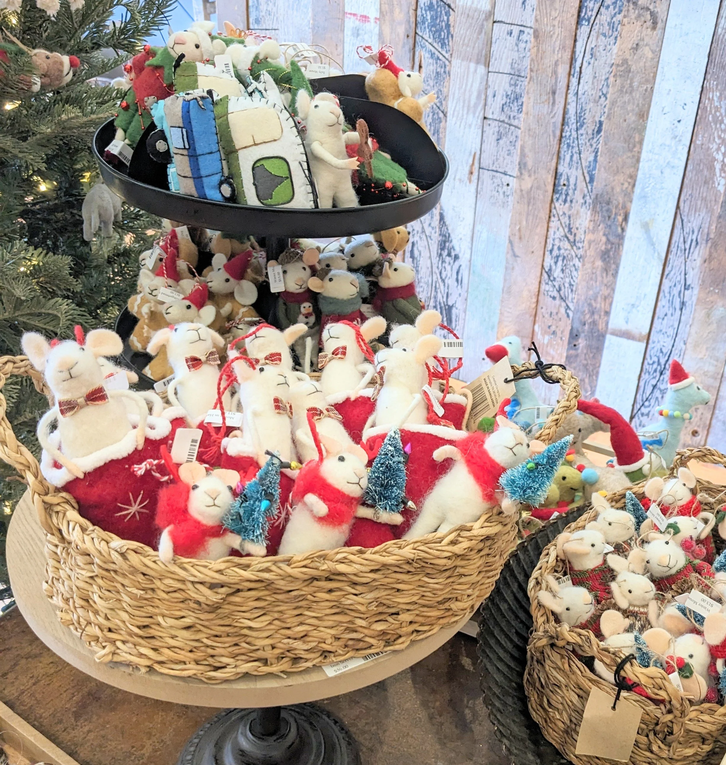 In the Store Today — Charlie's House