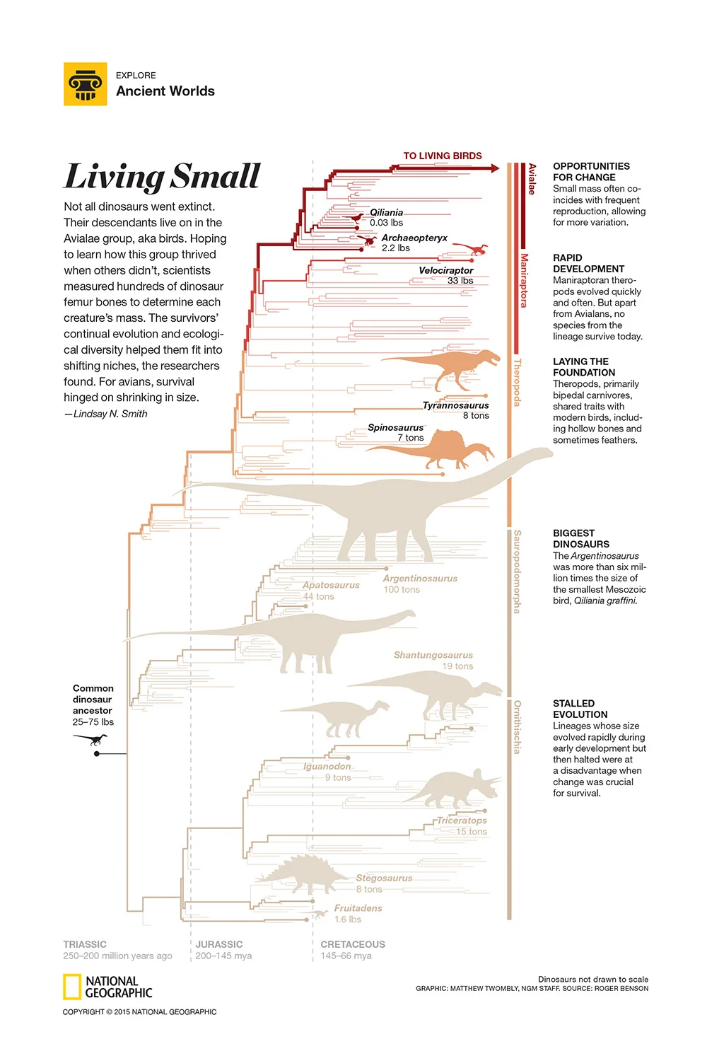 Dinosaur Size - National Geographic — Matt Twombly - Illustration and ...