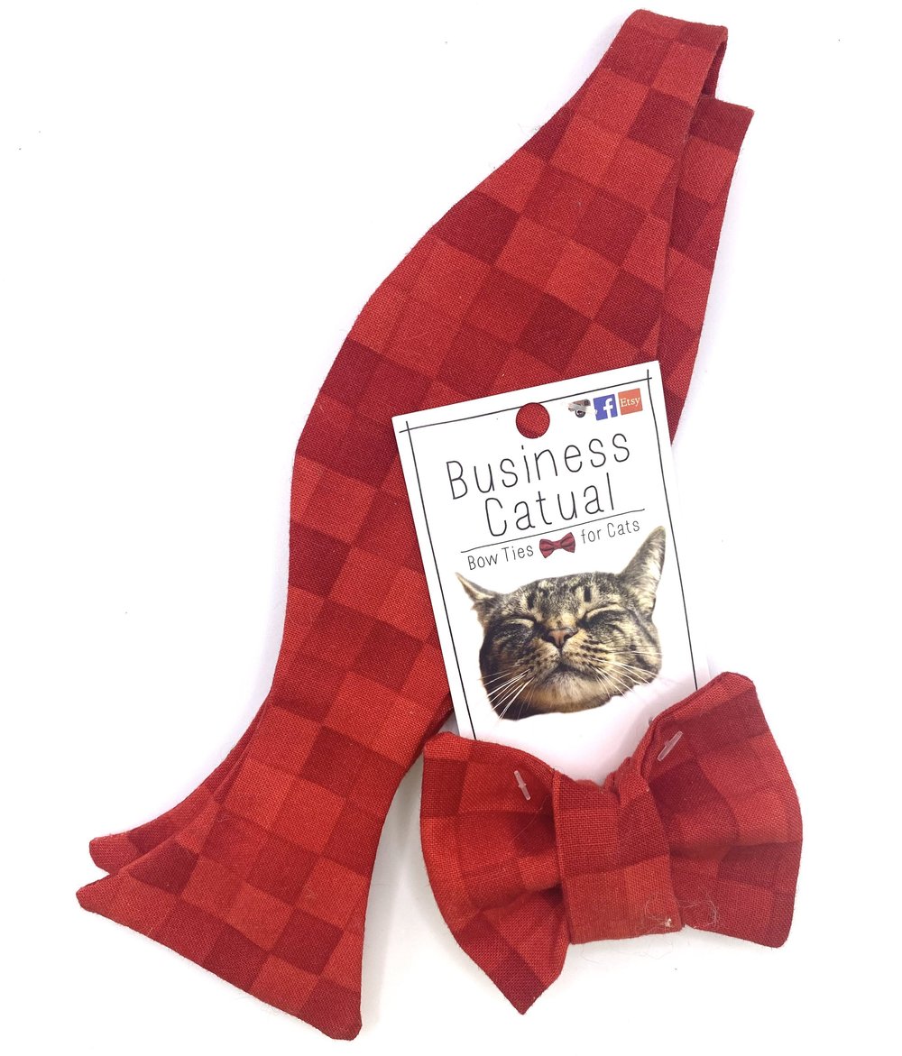 How To Make A Cat Bow Tie