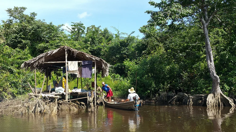 Protected Area Charette, Shell Beach, Guyana — Community Consortium
