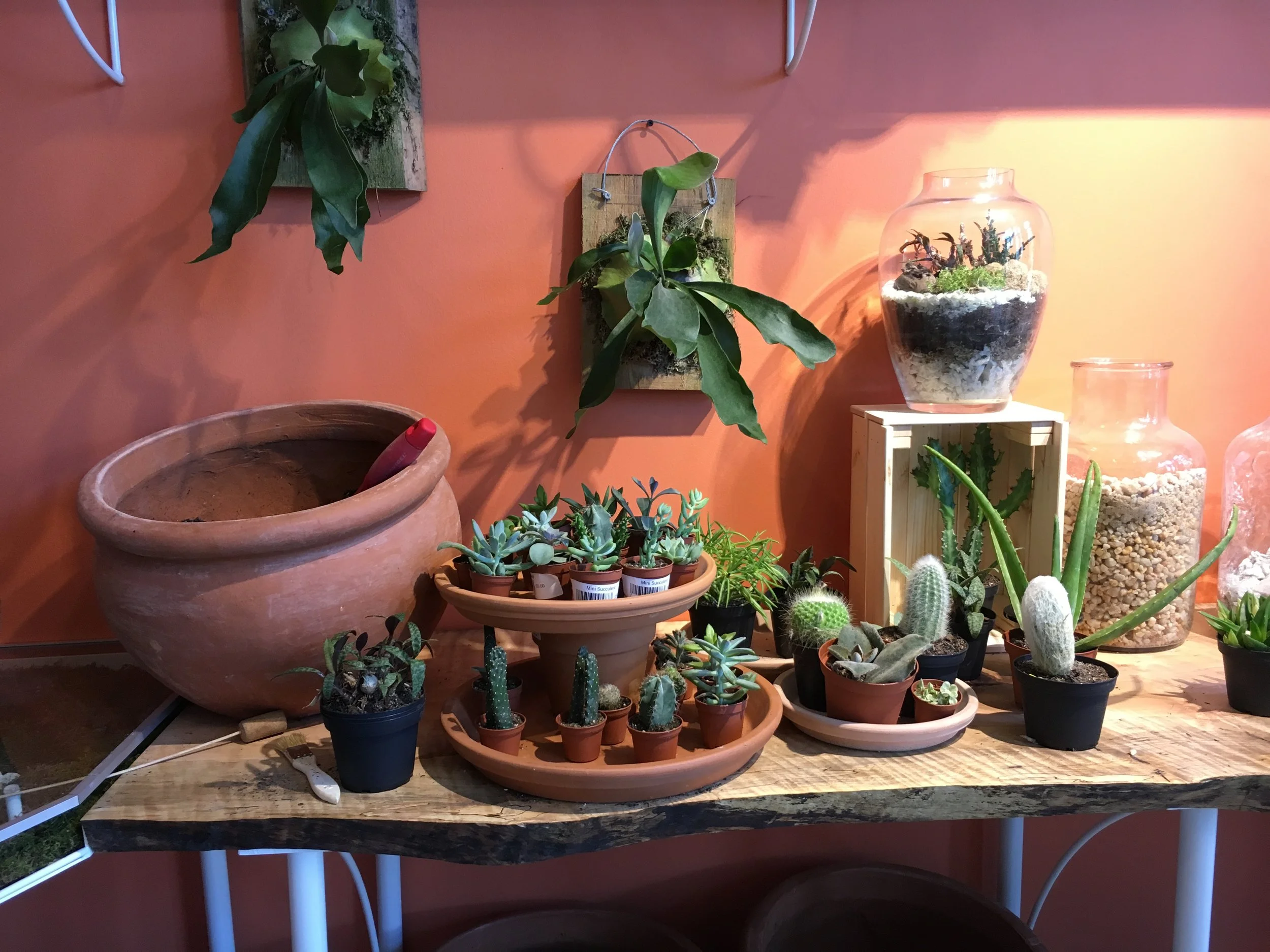 HANDMADE HABITAT — Retailer Spotlight | REWILD