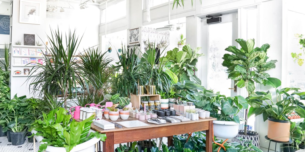 HANDMADE HABITAT — Retailer Spotlight | inside the home jungles of the ...