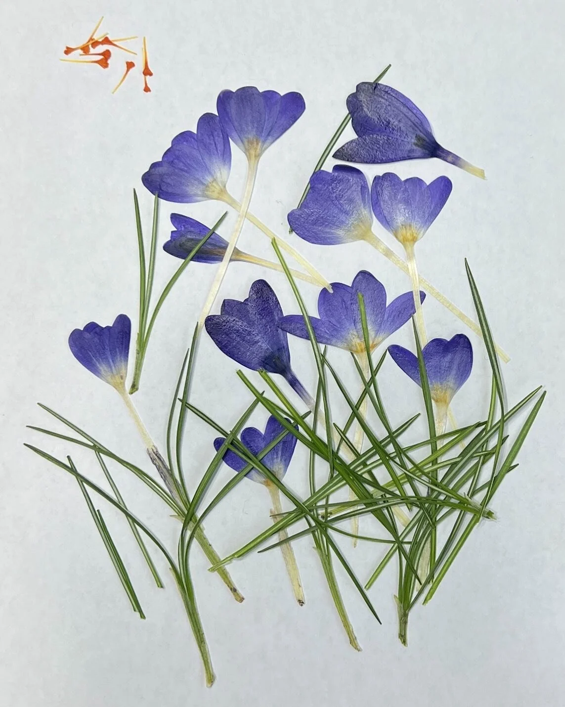 Wooden Deckle Papermaking Kits And SupplieWooden Deckle Paper Making ...