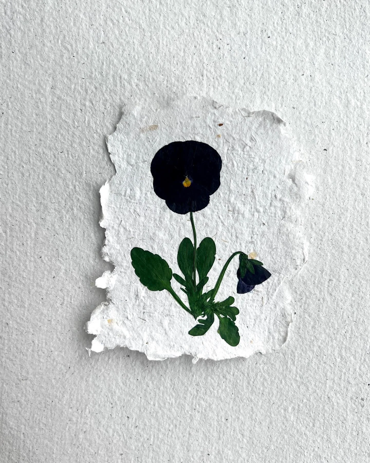 Wooden Deckle Papermaking Kits And SupplieWooden Deckle Paper Making ...