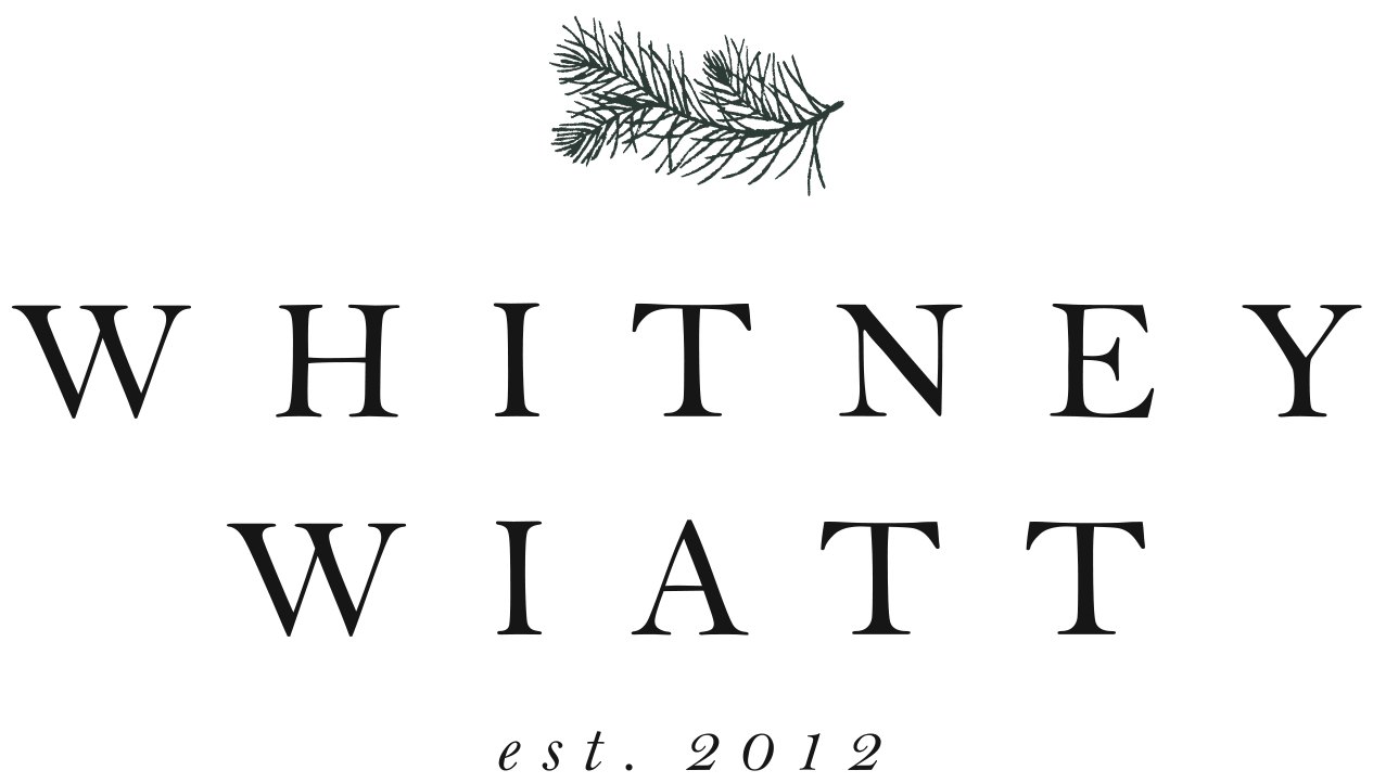 Whitney Wiatt | Wisconsin Photographer | Wedding, Editorial and Portrait