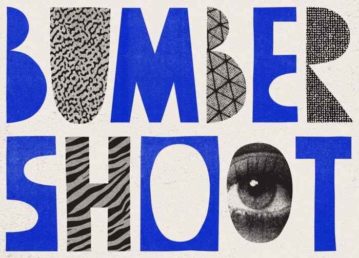 Access Art Program — Path with Art