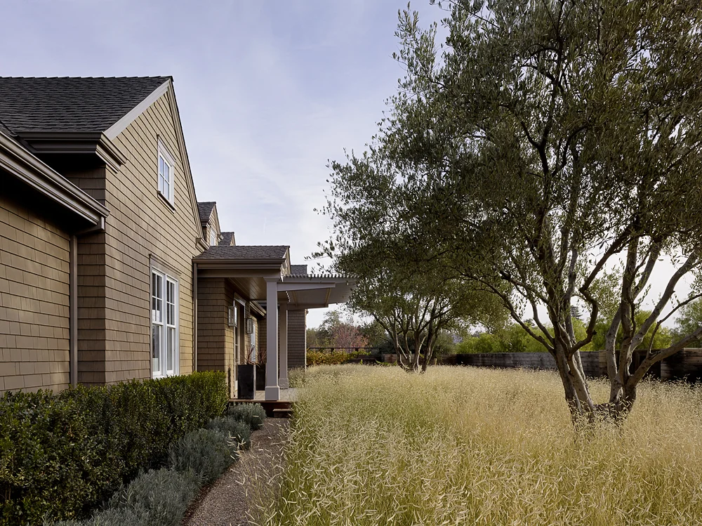 Andrew Mann Architecture