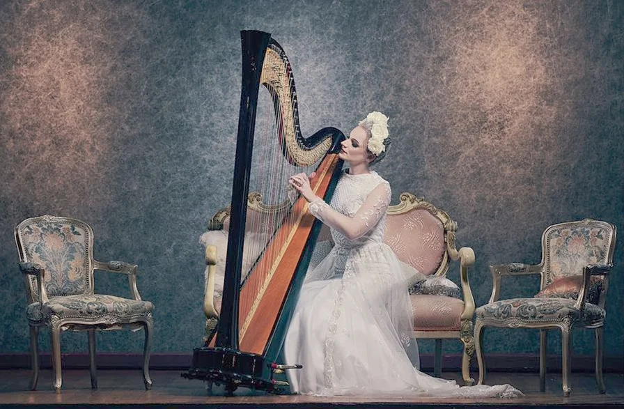 Affordable Chicago Harpist Pricing — Michelle Campbell