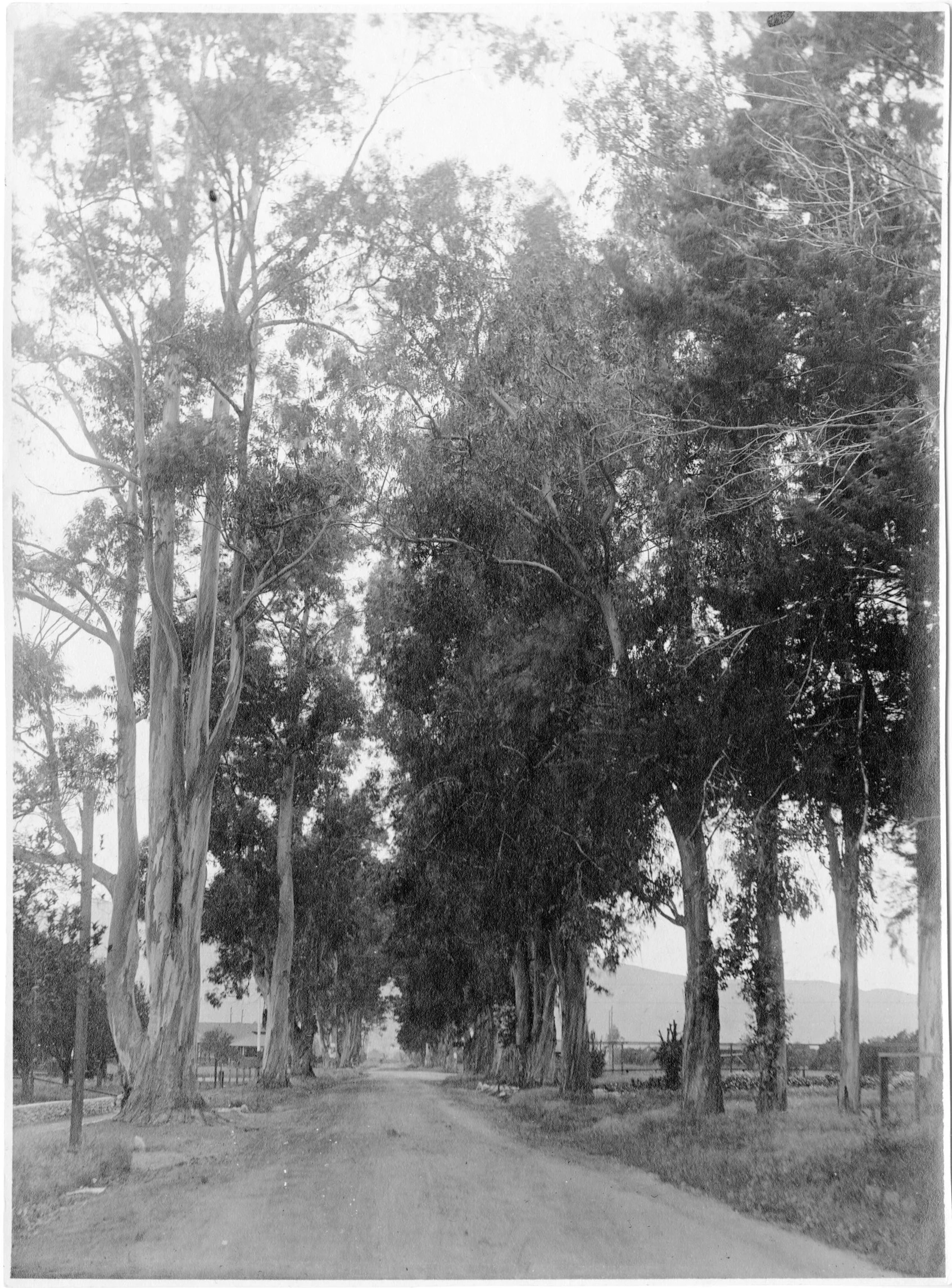 Still Standing after all these Years Part X — The Glendale Historical ...