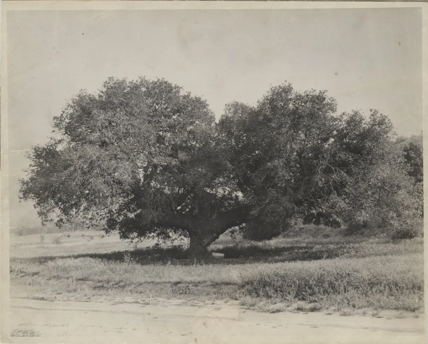 Still Standing after all these Years Part IX — The Glendale Historical ...