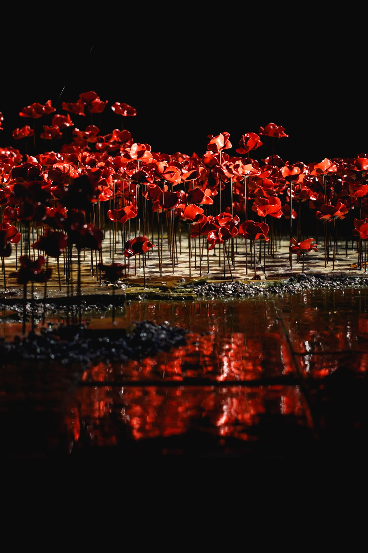 Poppies: 'Weeping Window' by Paul Cummins & Tom Piper — Andrew Wilson ...