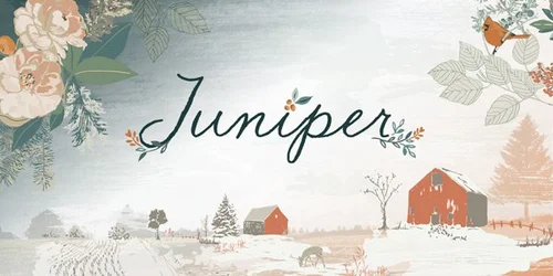 Juniper Look Book — Sharon Holland Designs