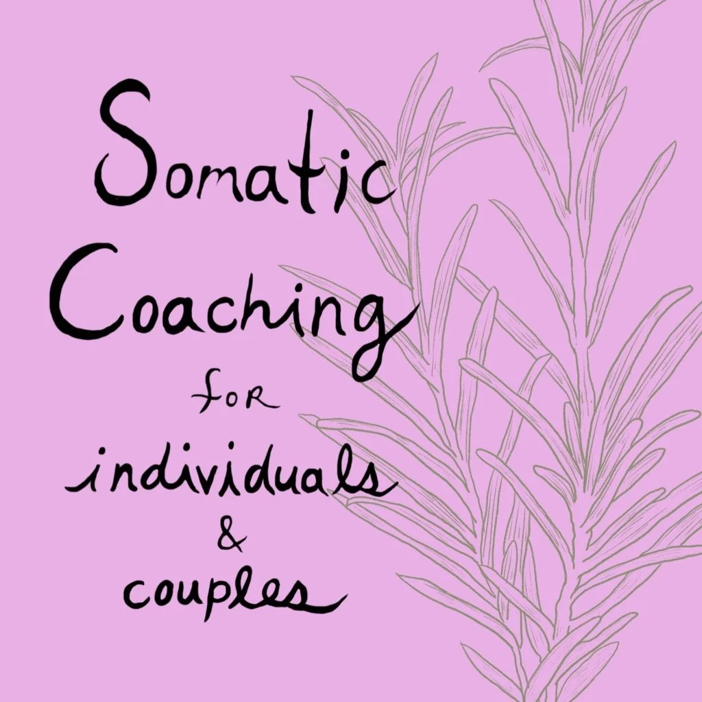 Somatic Coaching Offering — Rebekah Erev Studio