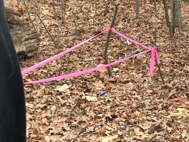 What I Learned about Man Hunting (Tracking/Search and Rescue) — Heather ...