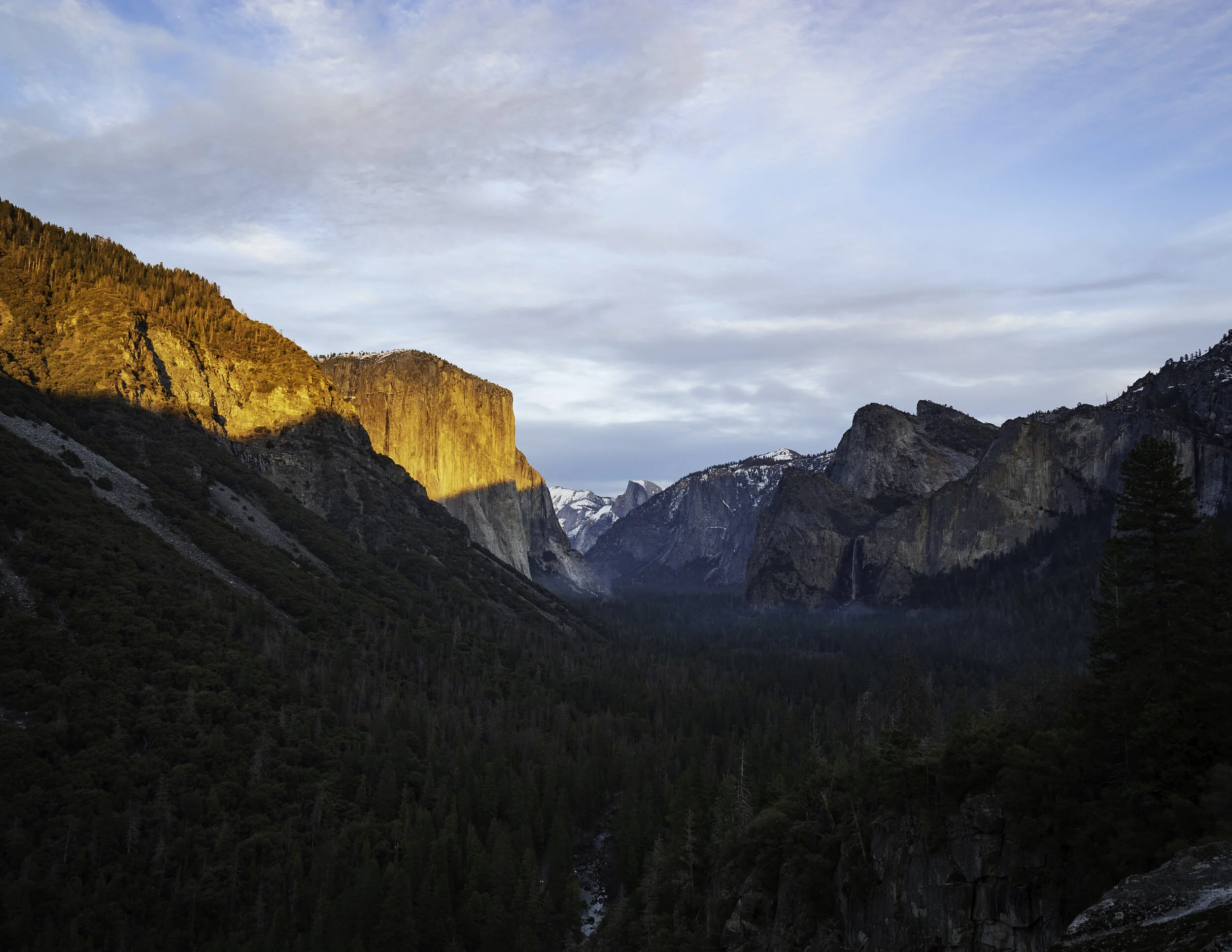 Brian Cho • NYC + SF