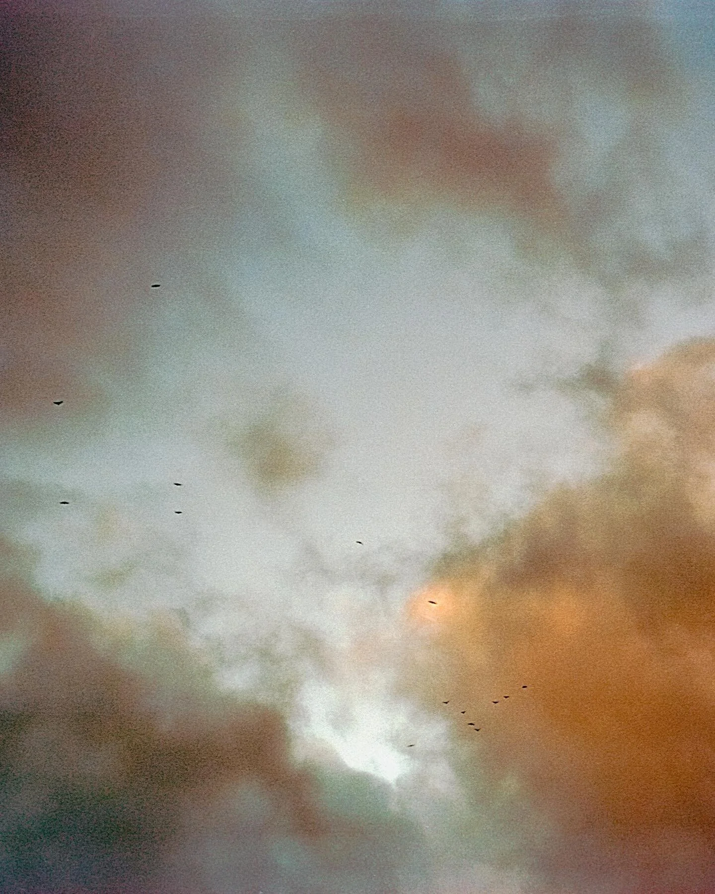 Brian Cho • NYC + SF