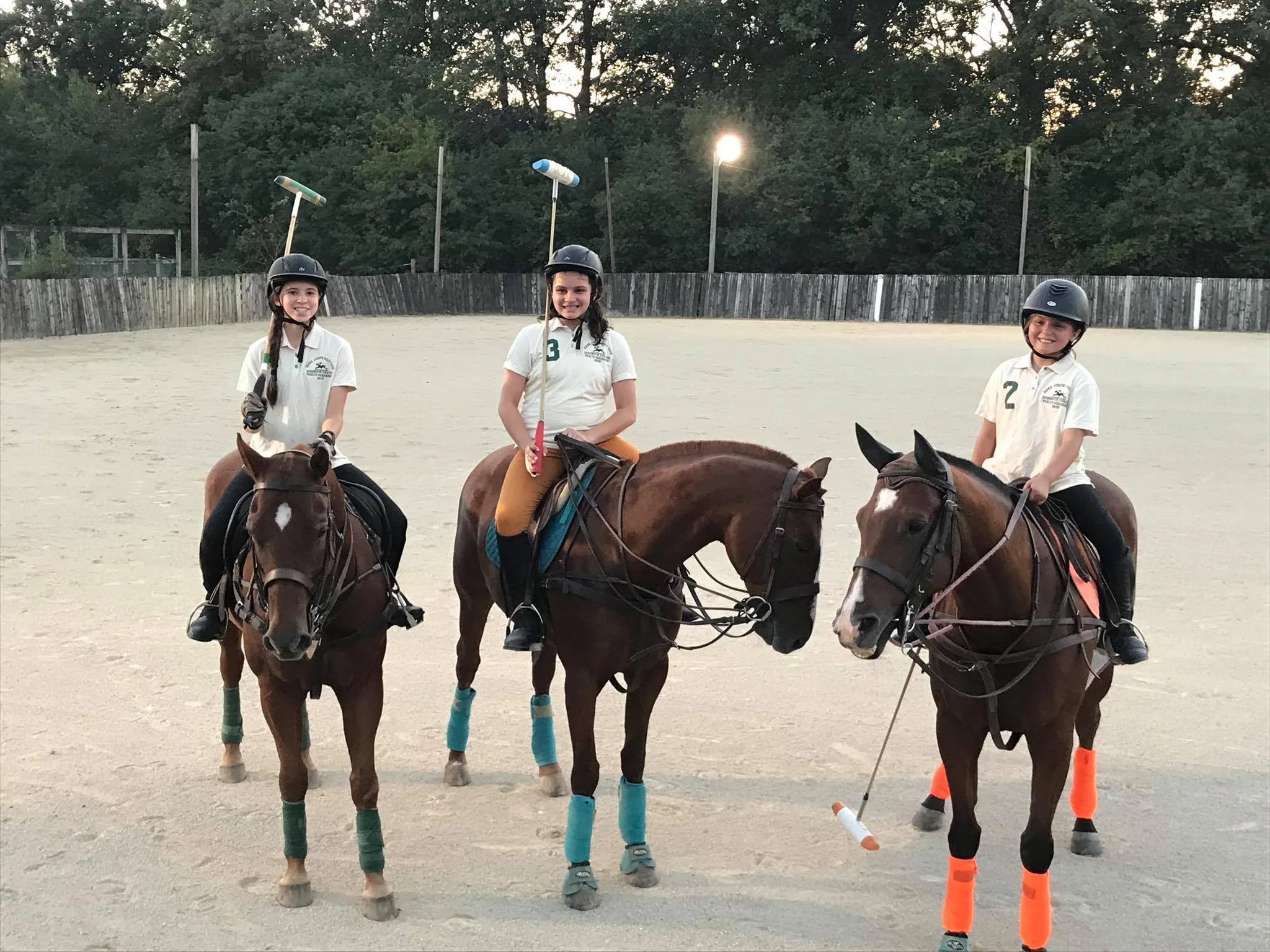 YOUTH POLO — Barrington Hills Polo Club