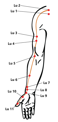 Lung Meridian Chart