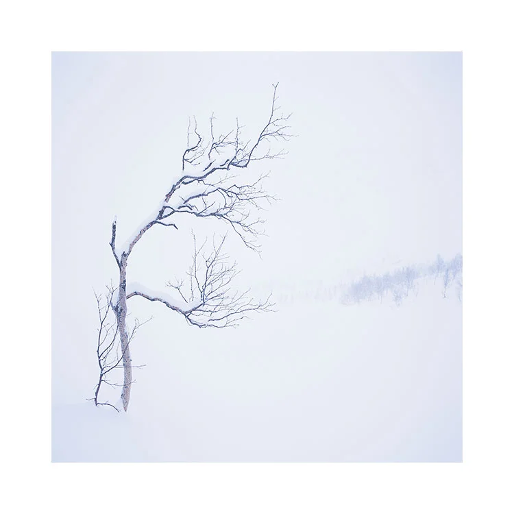 Colourchrome — Bruce Percy