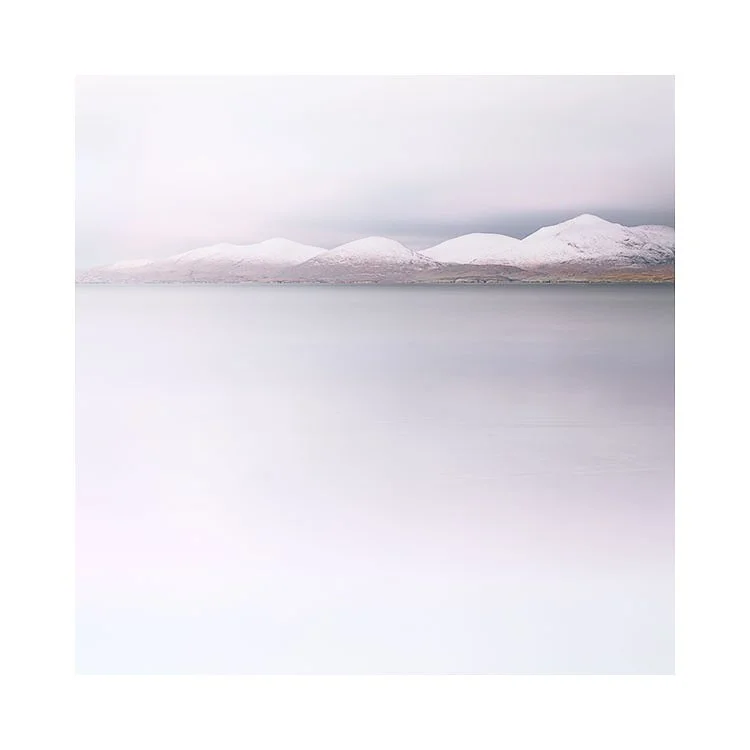 Harris 2024 — Bruce Percy