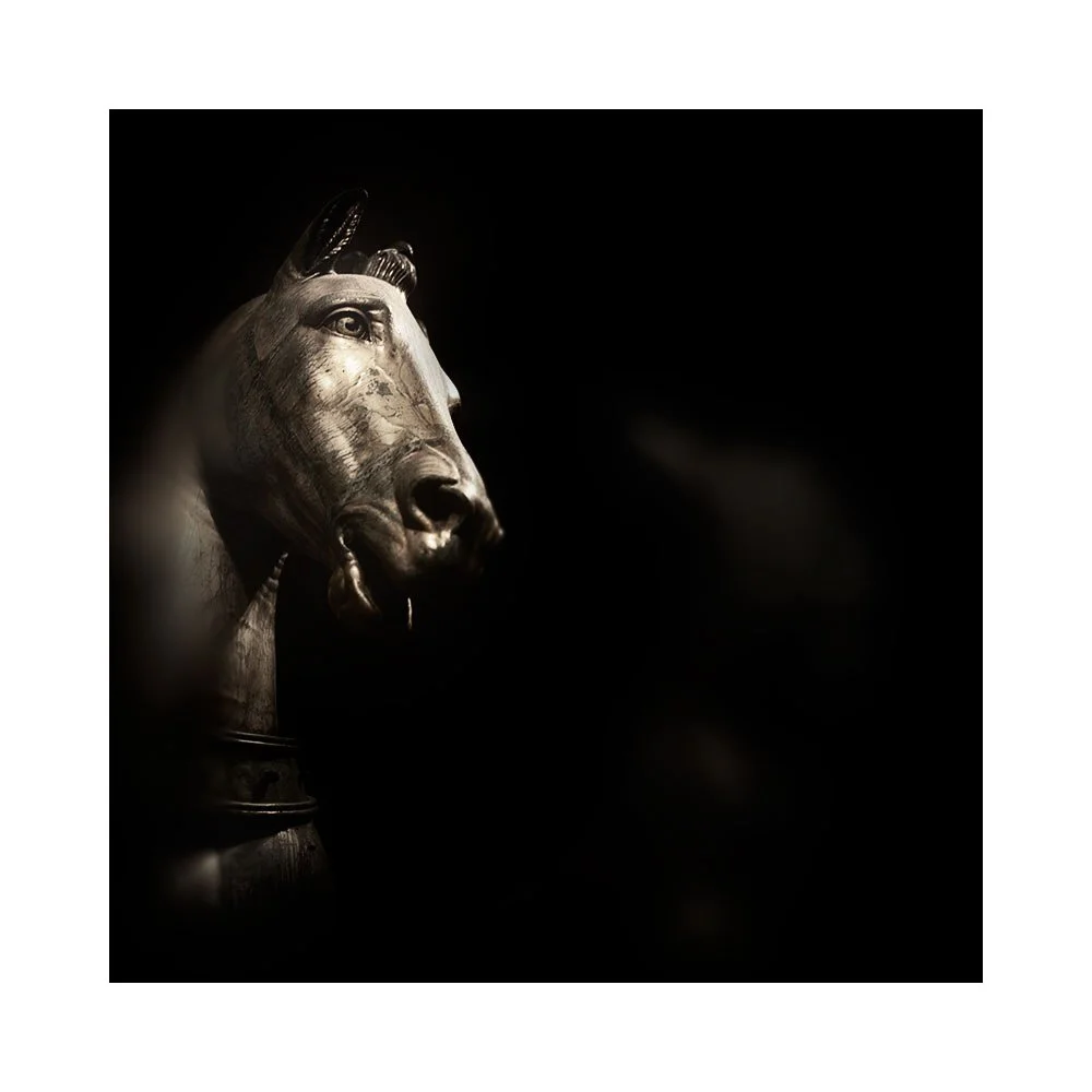 The Horses of St Marks — Bruce Percy