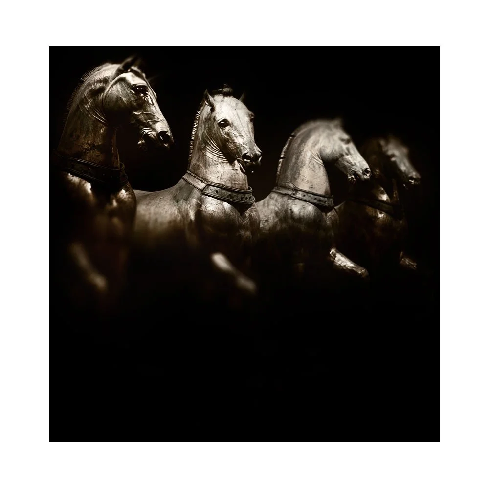 The Horses of St Marks — Bruce Percy