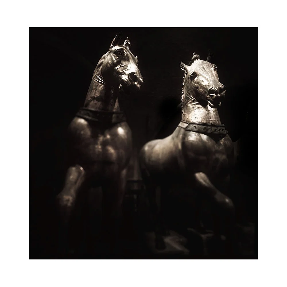 The Horses of St Marks — Bruce Percy