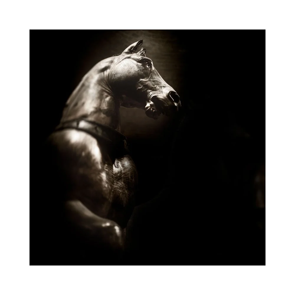 The Horses of St Marks — Bruce Percy