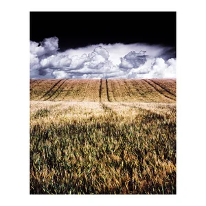 1989 — Bruce Percy