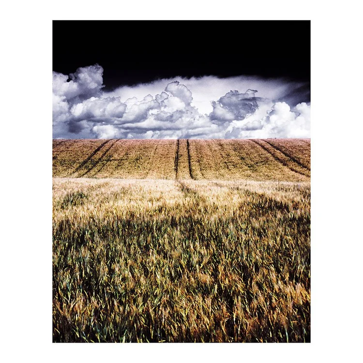 1989 — Bruce Percy