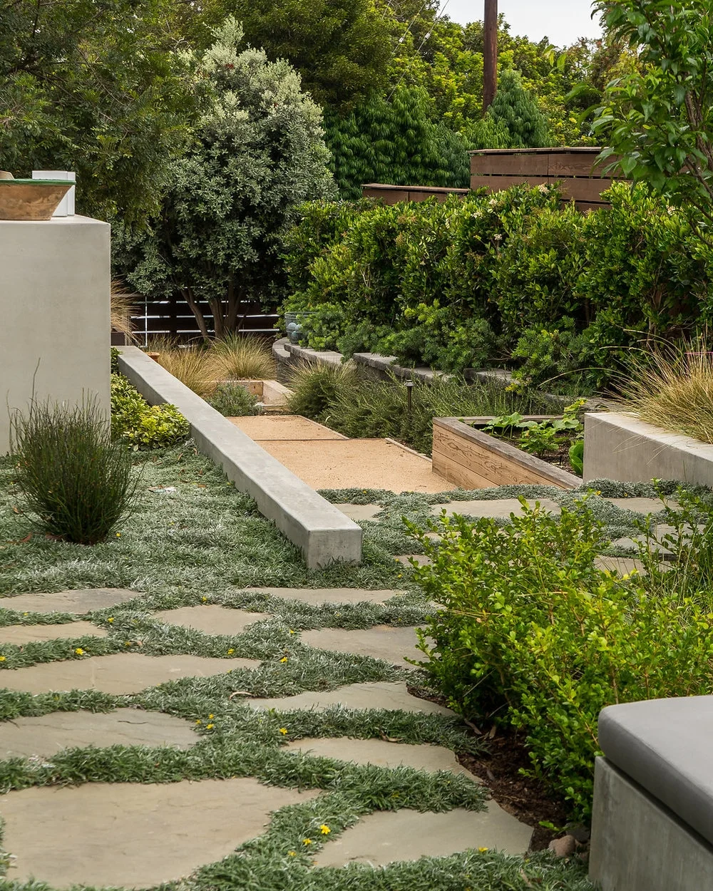 HEDGES || The numerous benefits to a green screen — FALLING WATERS ...