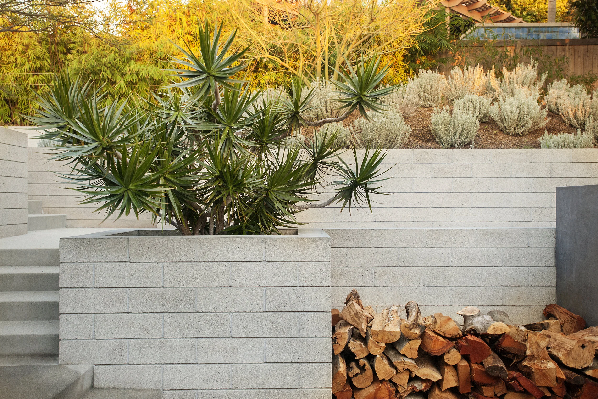 Palmitas — FALLING WATERS LANDSCAPE