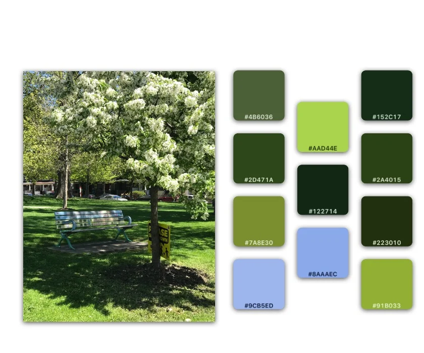 A palette for greens — Le Lapin dans la Lune