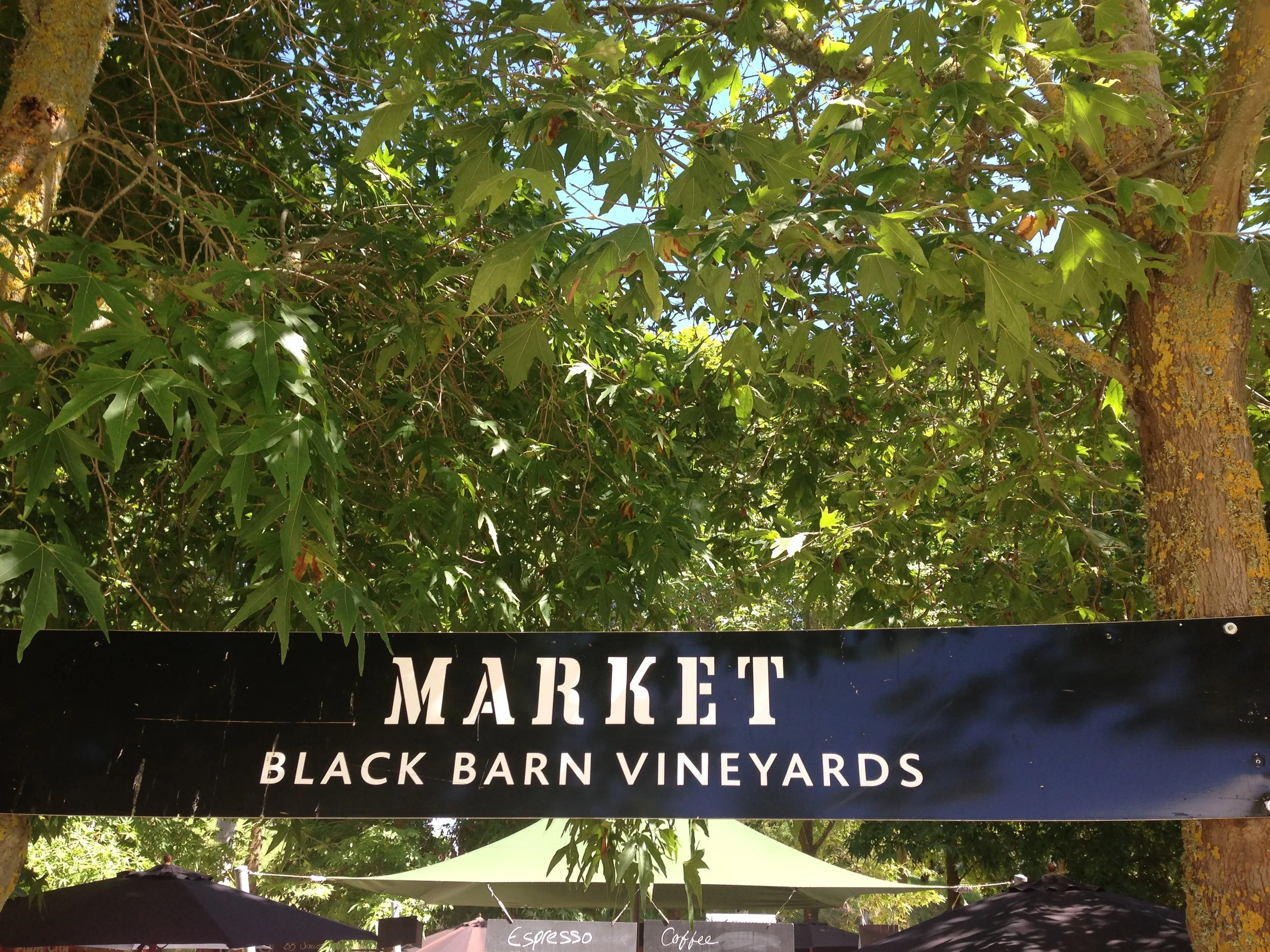 Photos — Chef Grace Ramirez