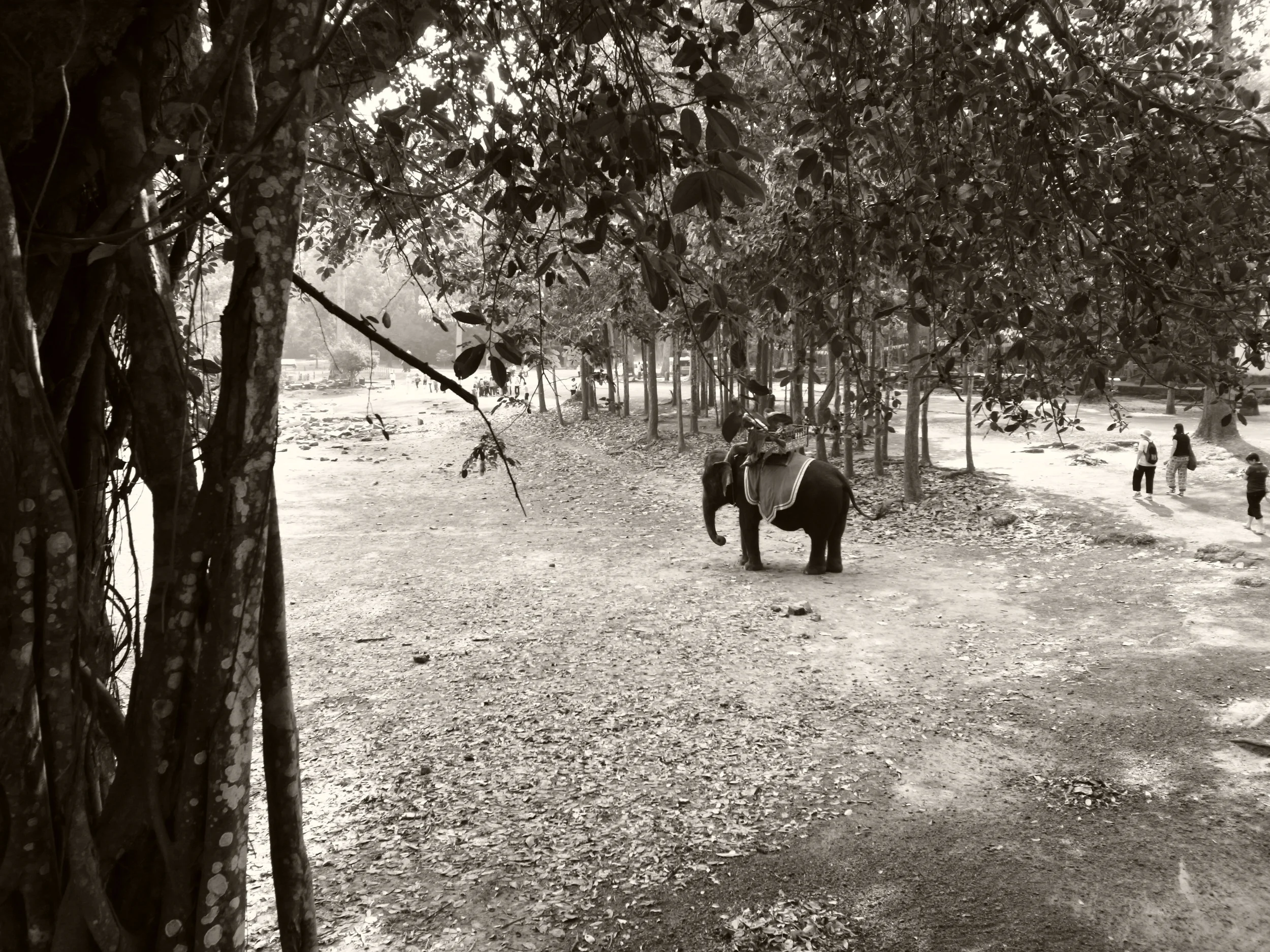 Photos — Chef Grace Ramirez