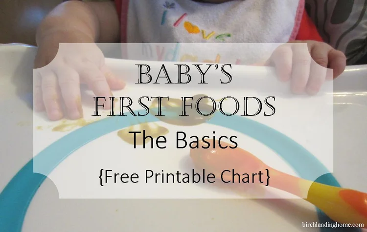 Baby's First Foods: The Basics {Free Printable Chart} —New England ...