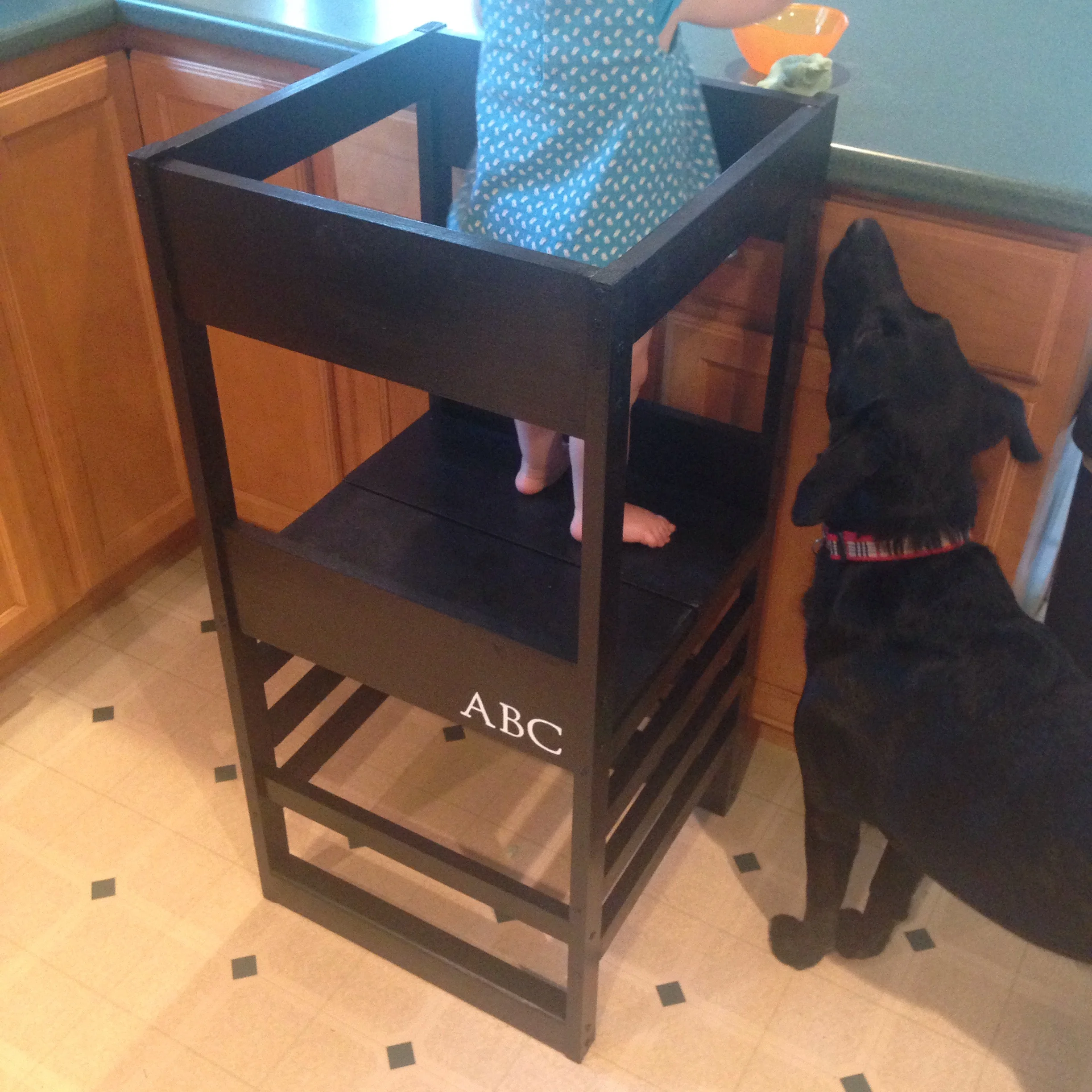 DIY Learning Tower / Kitchen Helper - Based on Plans by Ana White —New ...