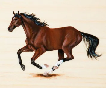 New England Maker: Simply Equine Design —New England Lifestyle ...