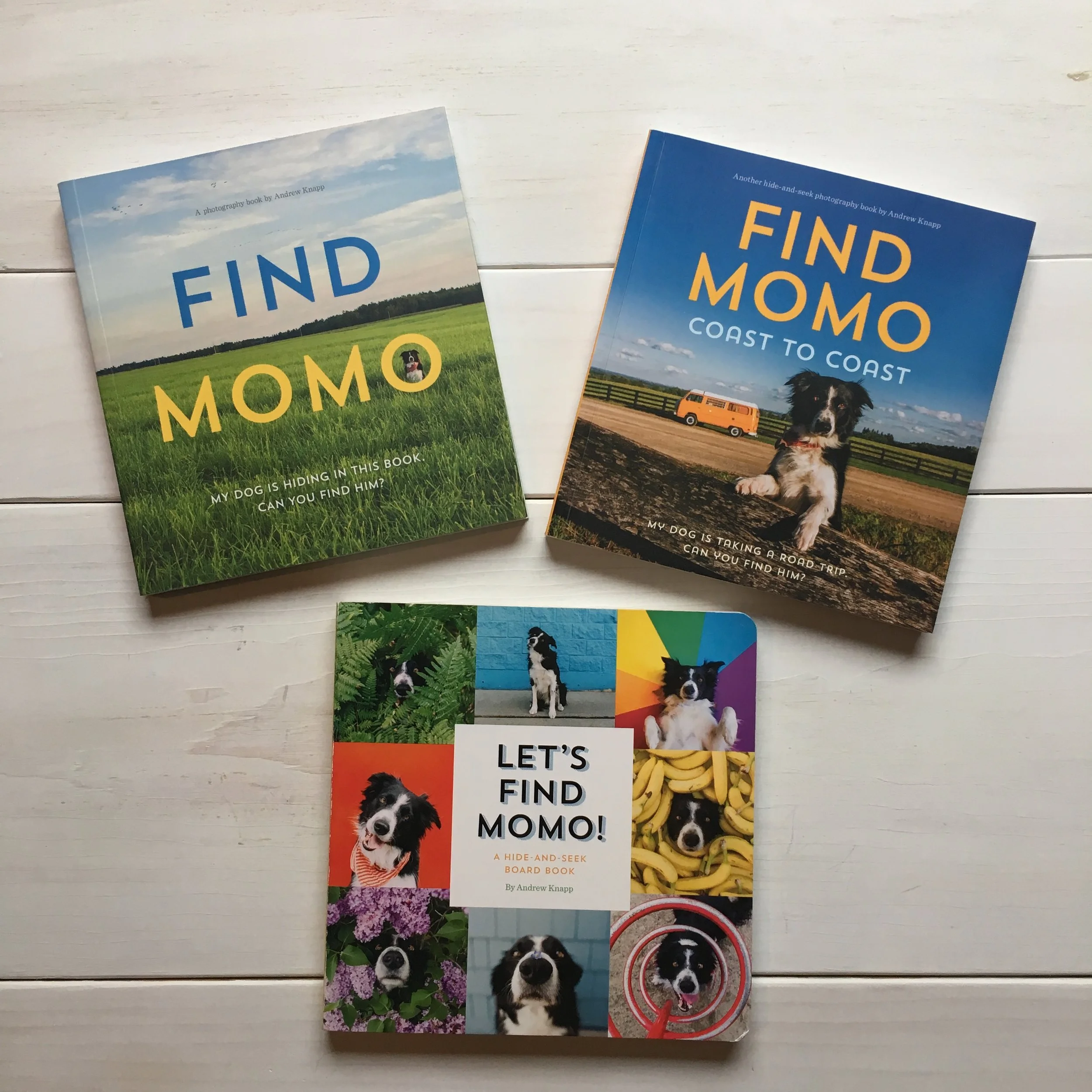 Favorite Find: "Find Momo" Books —New England Lifestyle, Motherhood ...