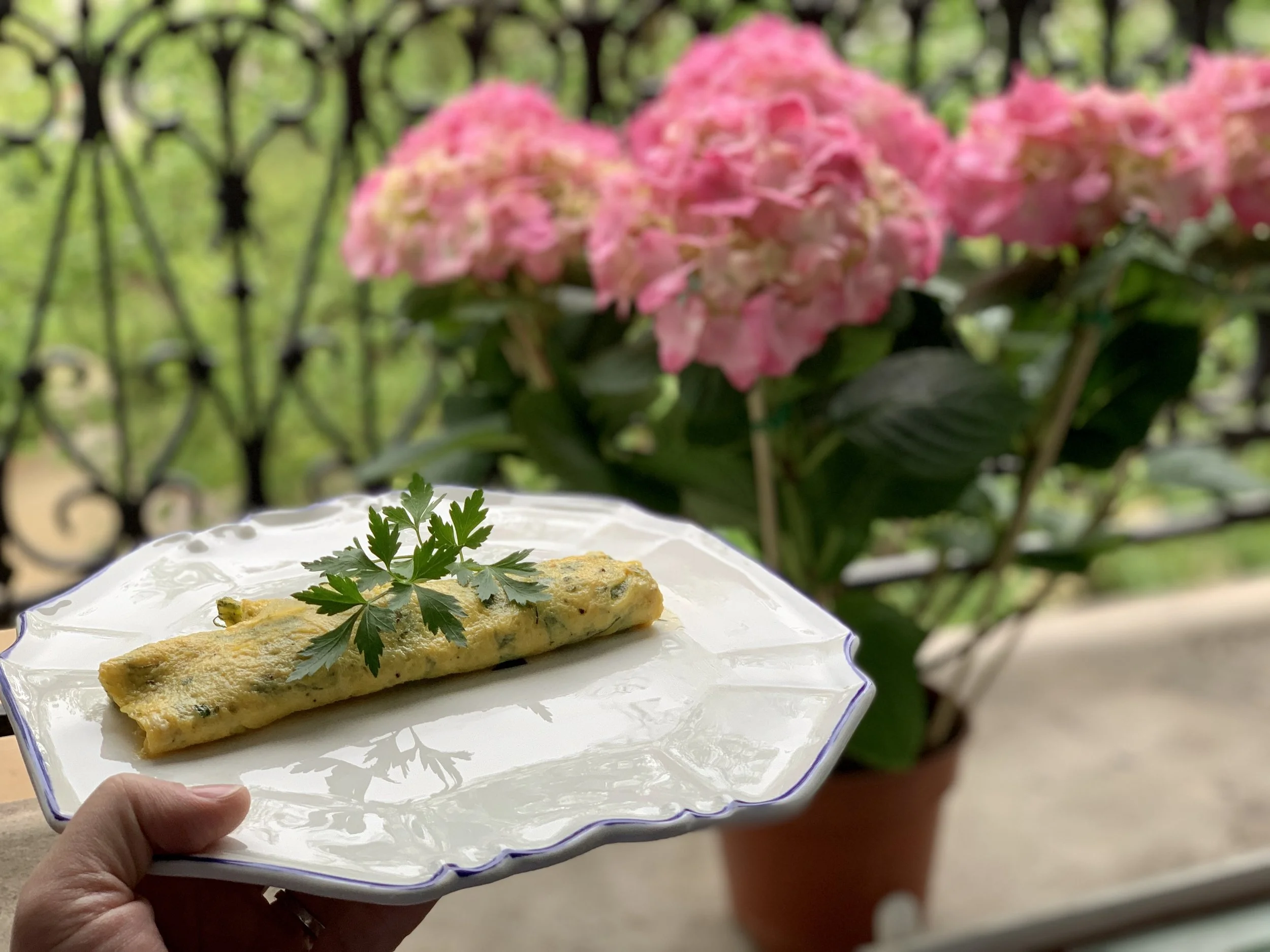 Fines Herbes French Omelette — Marc J. Sievers