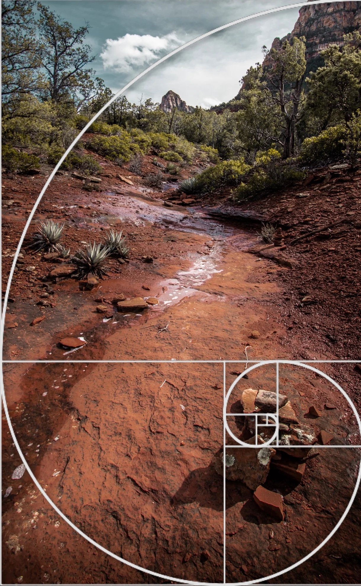 What does "composition" mean in photography? — Abigail Starcevic ...