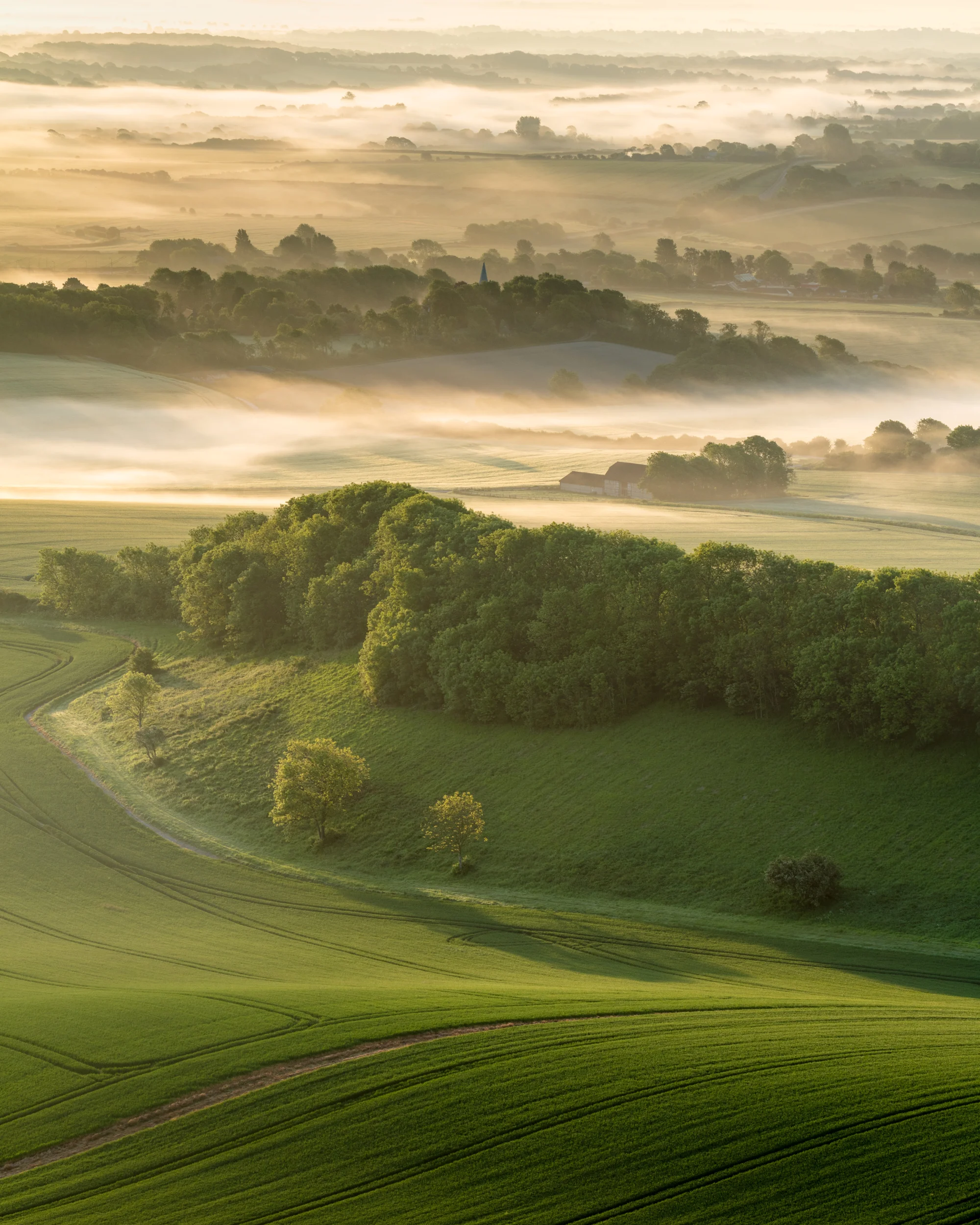 Fieldwork — Brighton Photography