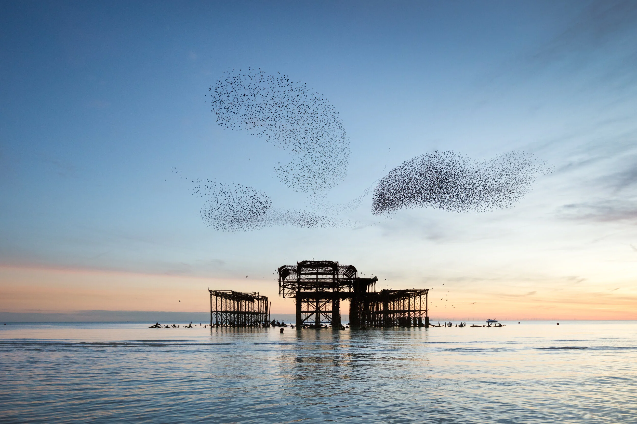 Stipple | By Finn Hopson — Brighton Photography