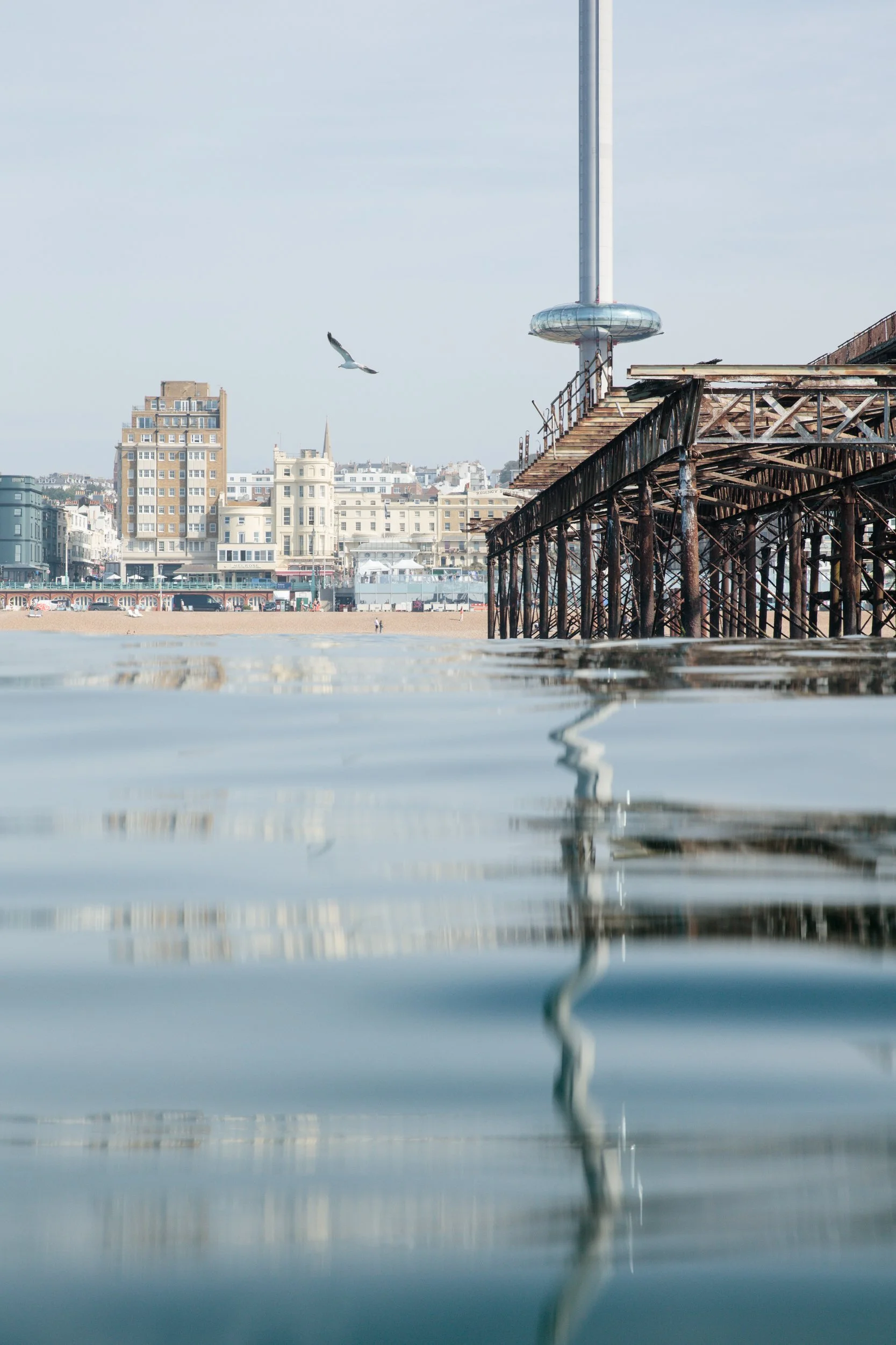 Brighton Sea Swimming — Brighton Photography